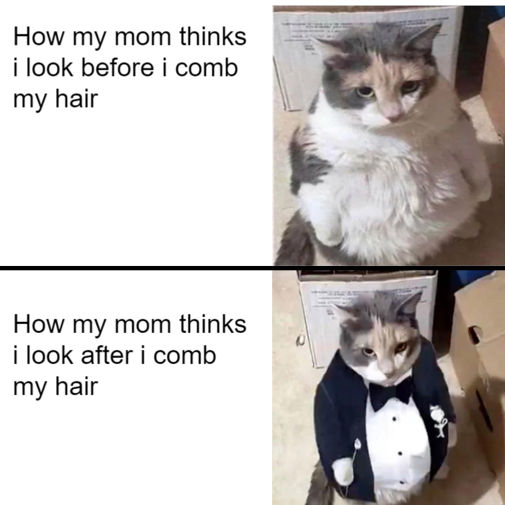 200+ Classy Captions for Instagram + Tips!